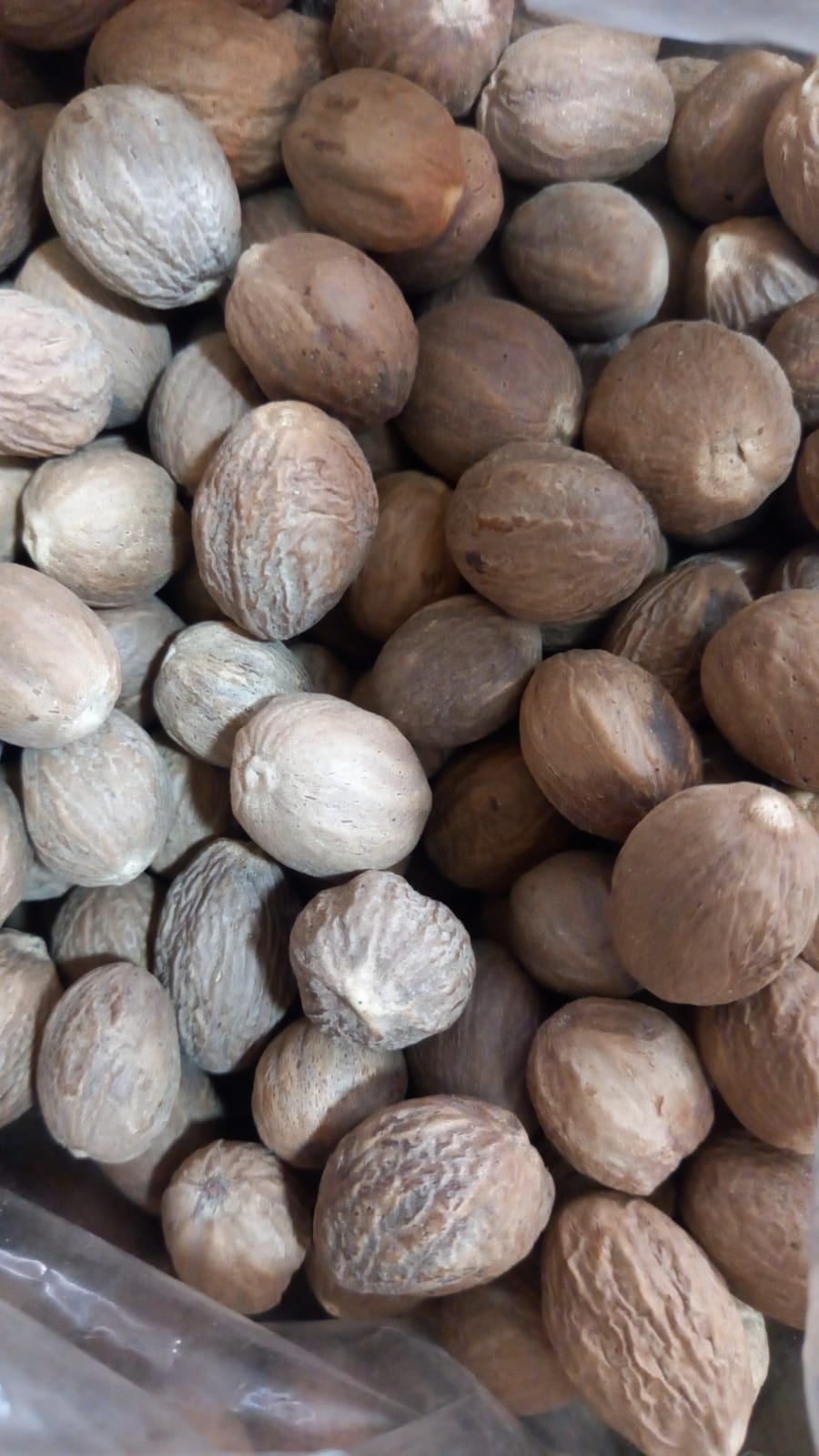 Glug Haus Co. - Vanilla Export Indonesia